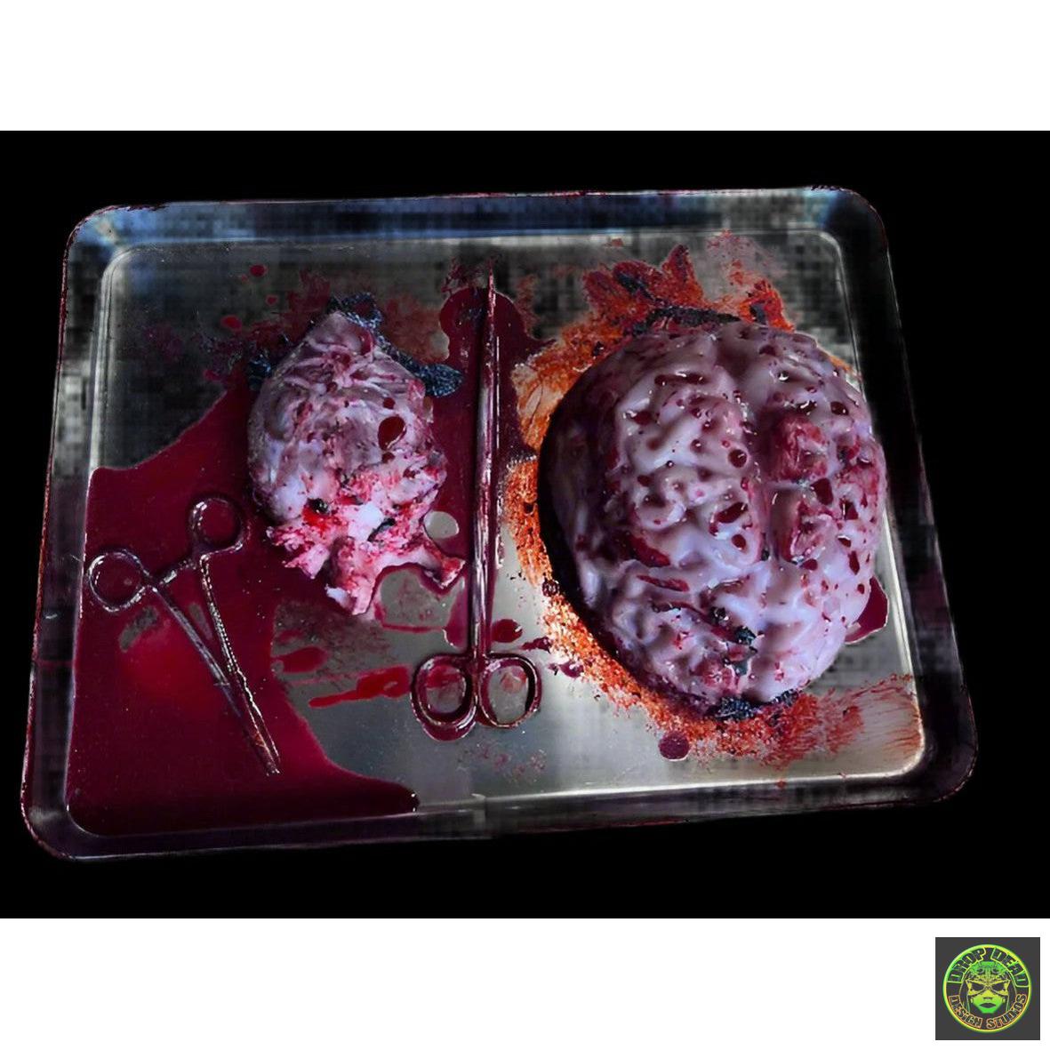 Brain Autopsy Tray – Drop Dead Design Studios